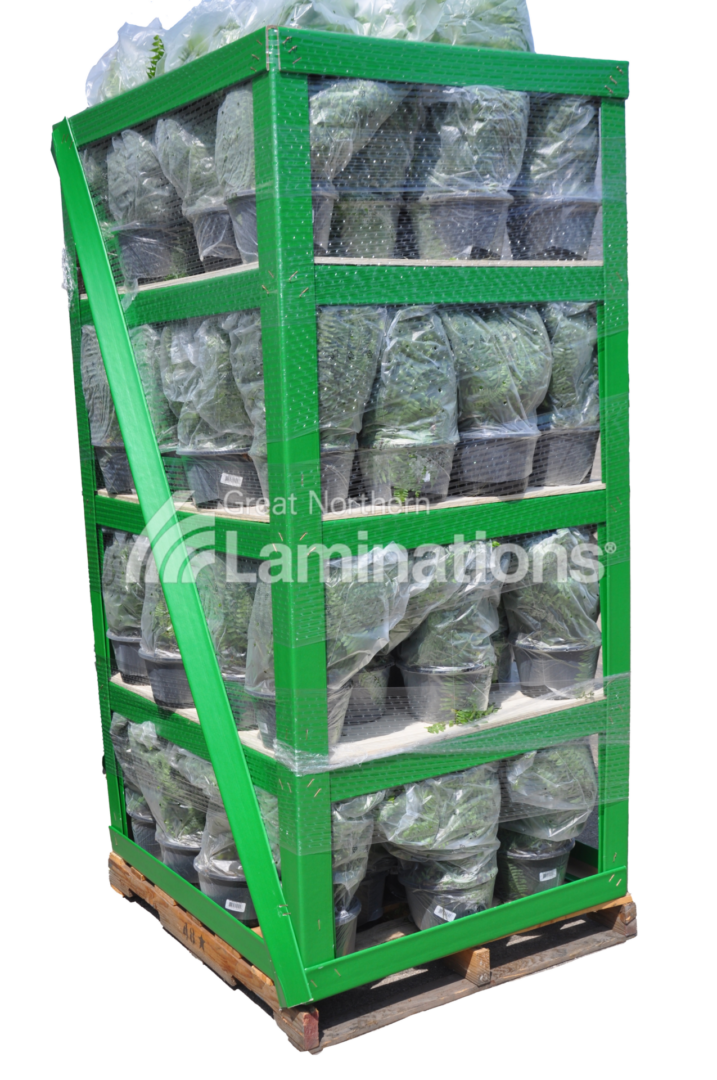 Point of Purchase Plant Shipper with Diagonal Support » Laminations